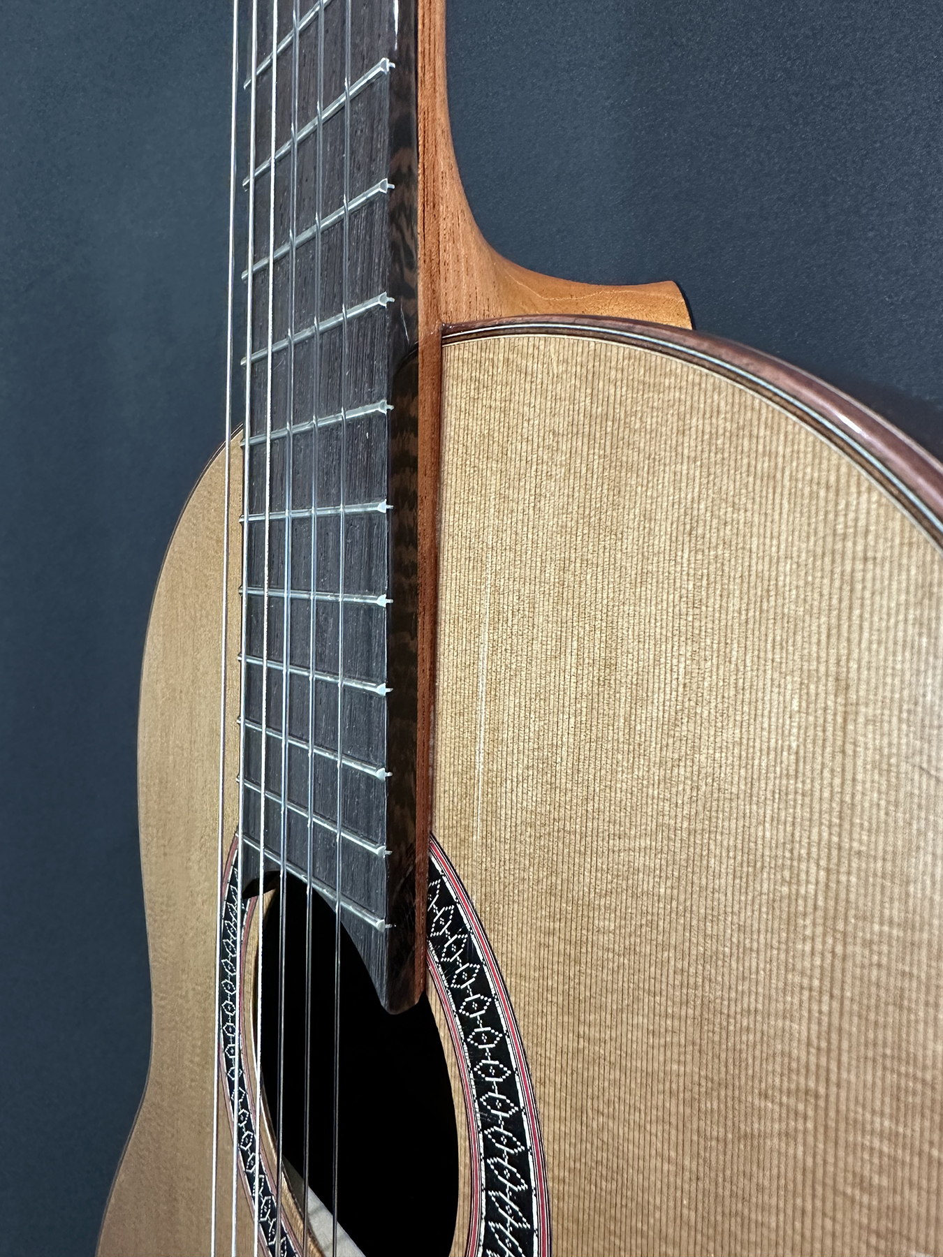 NEW Dieter Mueller Cedar double top – Classic Guitars International ...