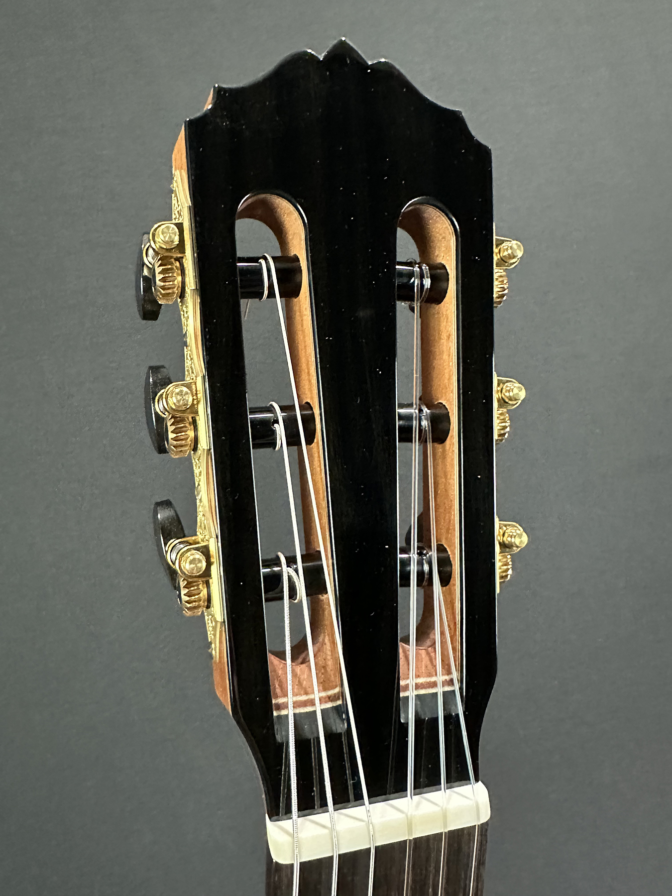 NEW Dieter Mueller Cedar double top – Classic Guitars International ...