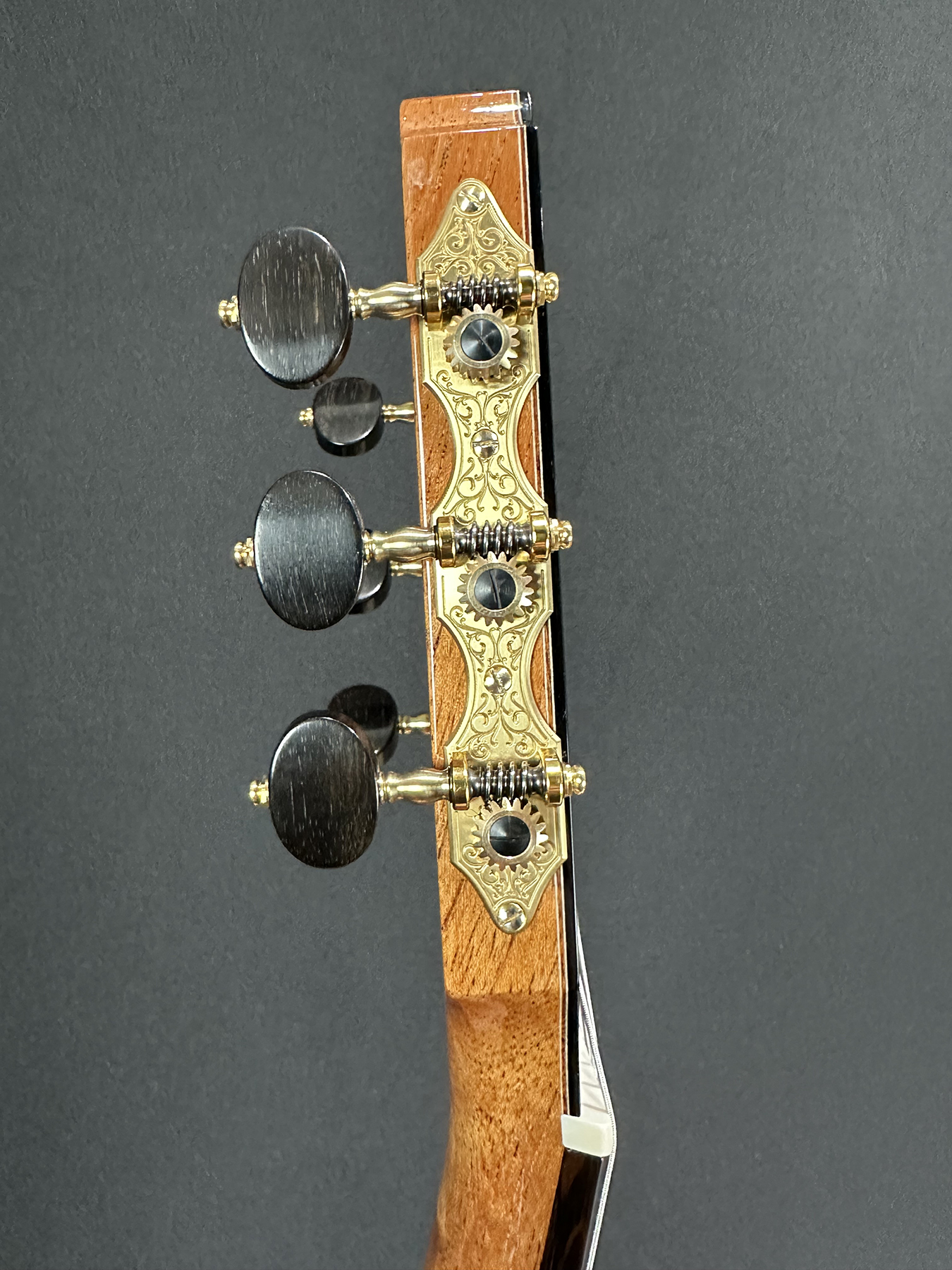 NEW Dieter Mueller Cedar double top – Classic Guitars International ...